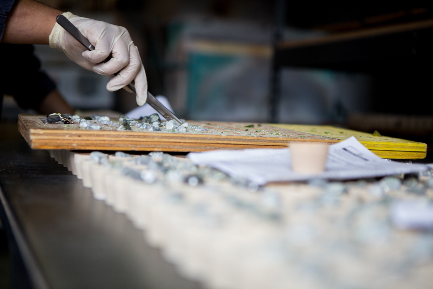METALS & MINERALS LABORATORY